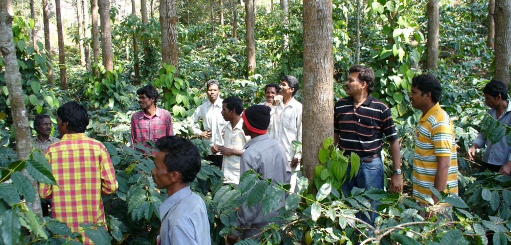 Livelihood Carbon Project Development • unique land use