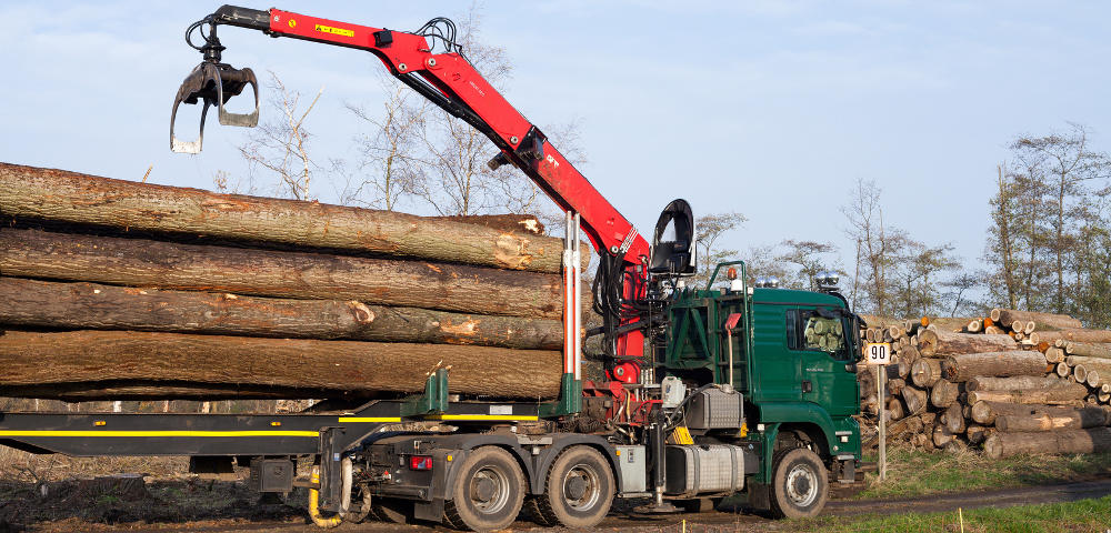 Efficient Round Wood Transport • unique land use