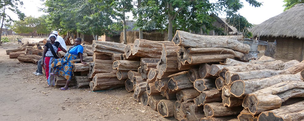 Mid term evaluation of the Mpingo Conservation & Development Initiative ...