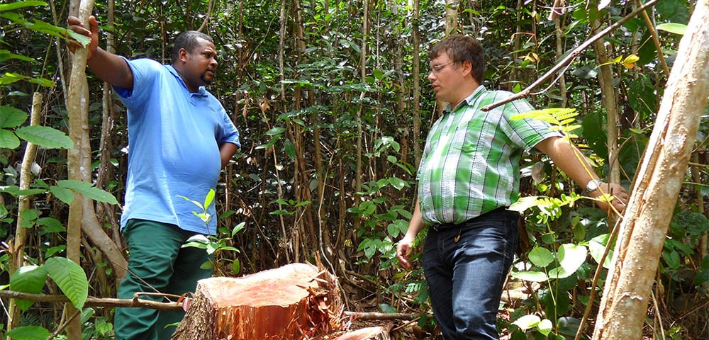 Sustainable Forest Management Guidelines for Natural Forests • unique ...