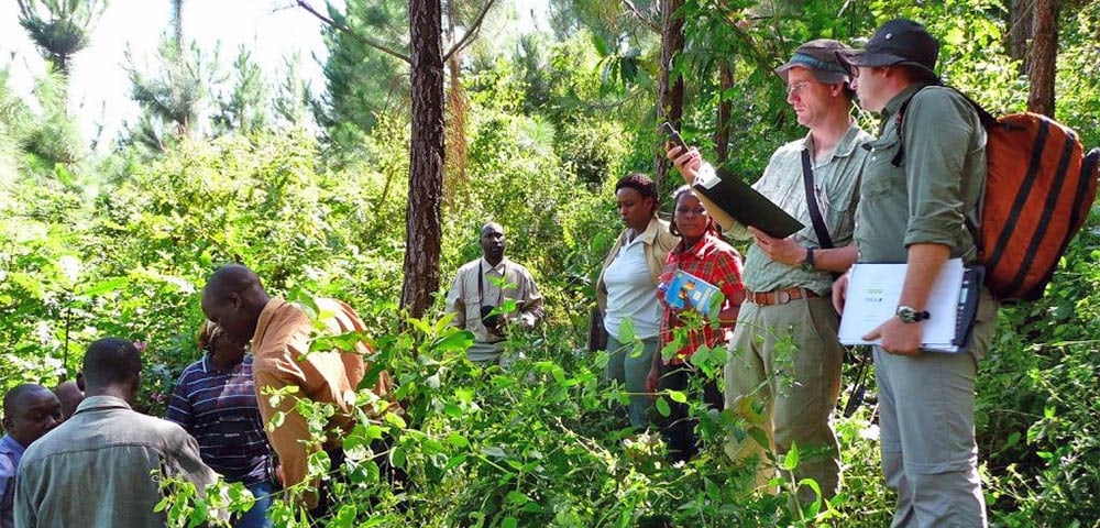 Verification Clean Development Mechanism Project • unique land use
