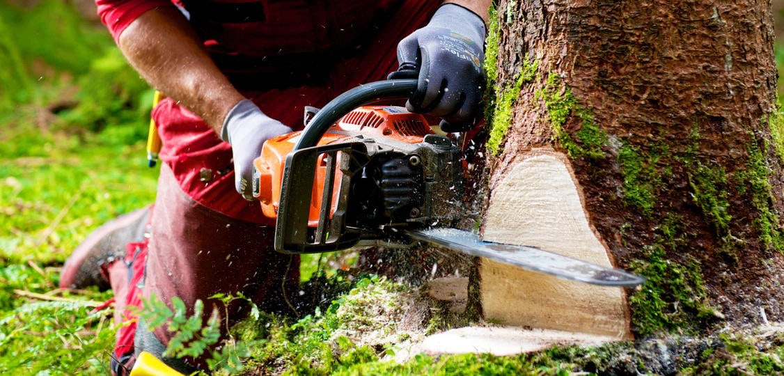 Business Strategies for Logging Entrepreneurs • unique land use