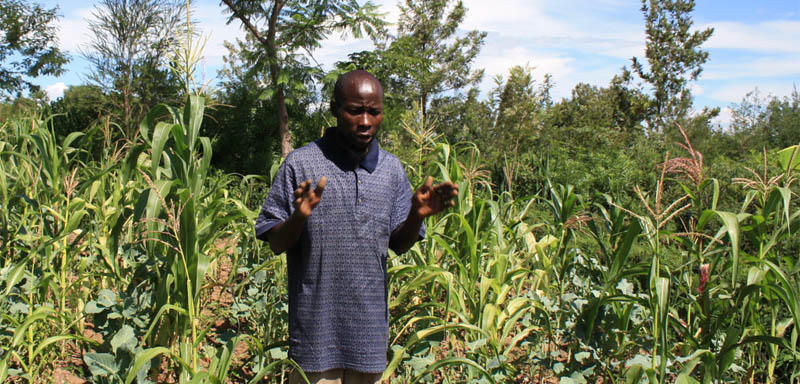 Climate Change Adaptation in the Agricultural Sector • unique land use GmbH