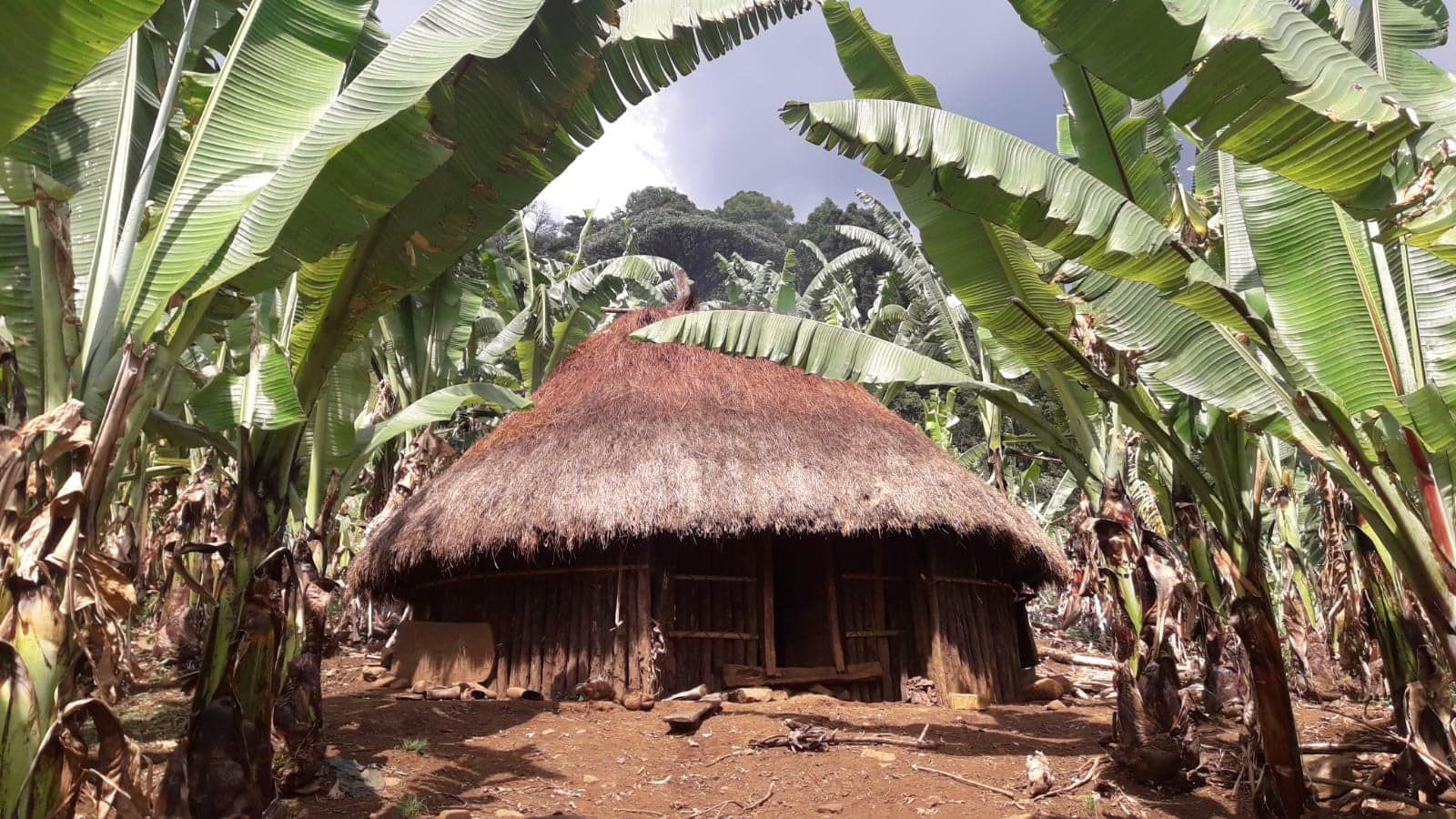 Conservation and Sustainable Use of Natural Resources • unique land use ...