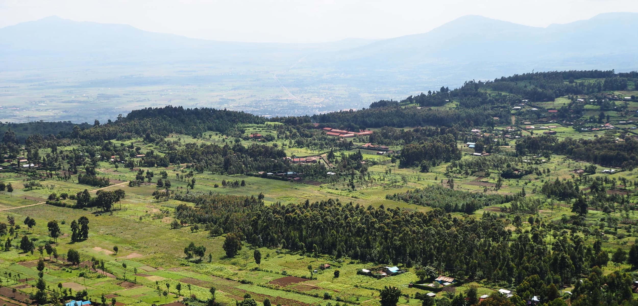 Supporting Sustainable Private Forestry in Kenya • unique land use