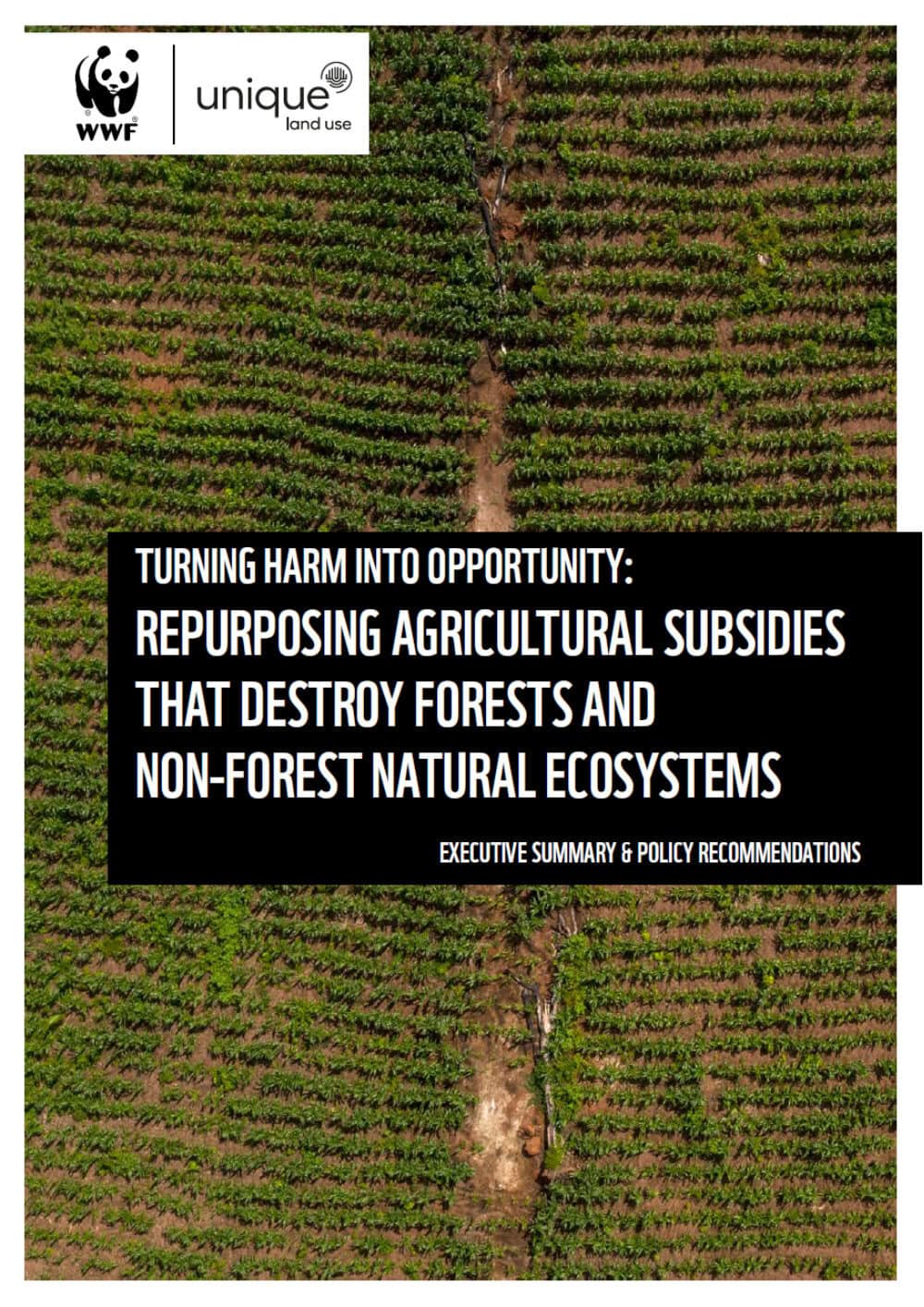 Turning Harm Into Opportunity: Repurposing agricultural subsidies that ...