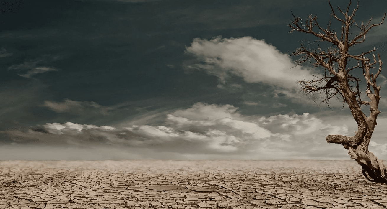 Unique land use leads in drought and adaptation analytics • unique land use